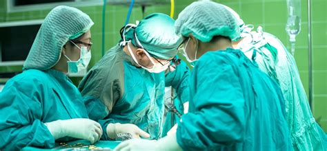 Sistema Circulat Rio Conhe A As Principais Doen As E Suas Causas