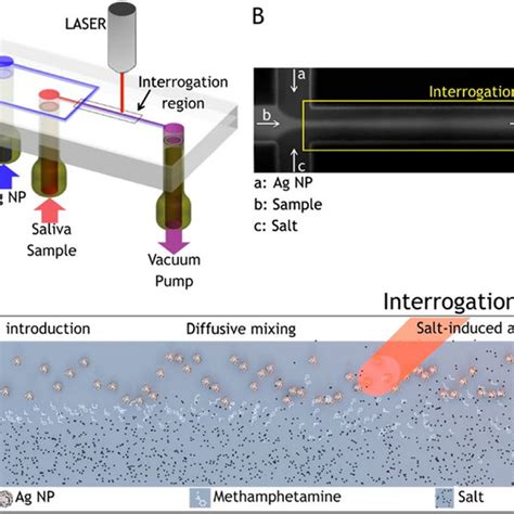 Flow Focusing Microfluidic Device Used For Controlled Ag Np