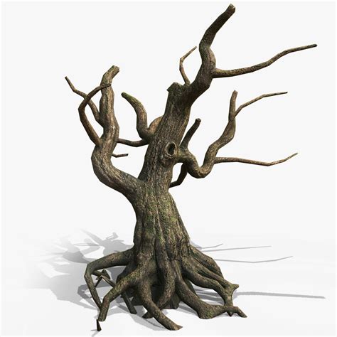 3d Dead Tree Roots Turbosquid 1246725