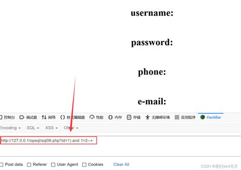sql注入原理 字符型注入 csdn博客