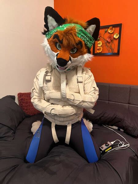 Favorites Gallery For Kody The Fox Fur Affinity Dot Net