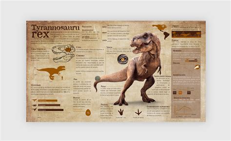 InfografÍas De Dinosaurios On Behance