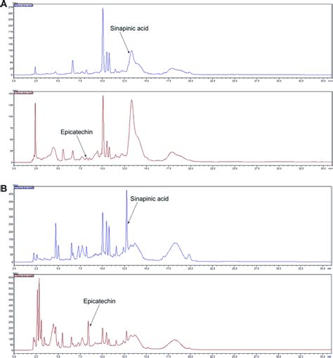Hplc Dad Chromatograms Of Selected Polyphenols In The Red Headed Download Scientific Diagram