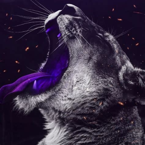 سعید طایفه Youtube