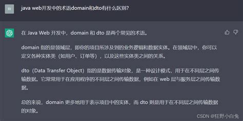 java web开发中的术语domain和dto有什么区别？ csdn博客