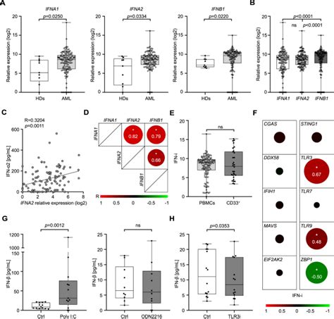 恶性母细胞中的 I 型干扰素信号传导有助于 Aml 患者的治疗效果 Cell Death And Disease X Mol