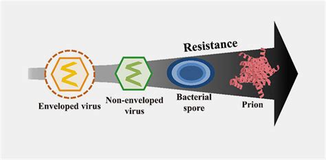 Immunoglobulin Rabies Vaccine The Complete Faq Guide In 2025 Aipak Engineering
