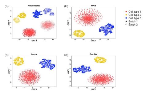 Simulation Of Batch Effect In Two Batches With Identical Cell Type Download Scientific Diagram