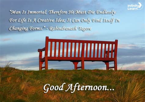 50 Best Good Afternoon Images With Quotes To Brighten Your Day