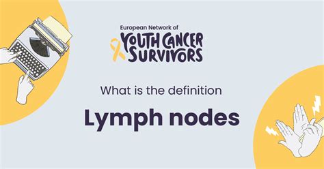Lymph Nodes Beatcancer