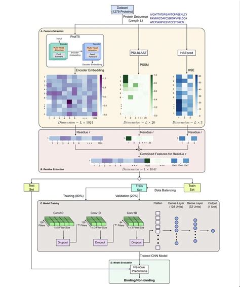 Yogesh Jadhav On Linkedin Meet Pepcnn A Deep Learning Tool For