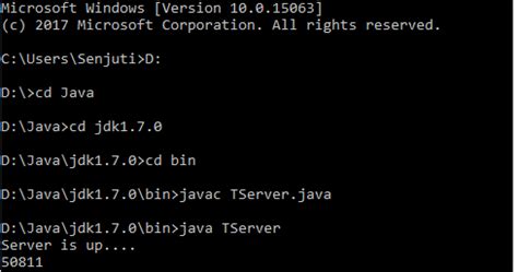 Java Socket Programming