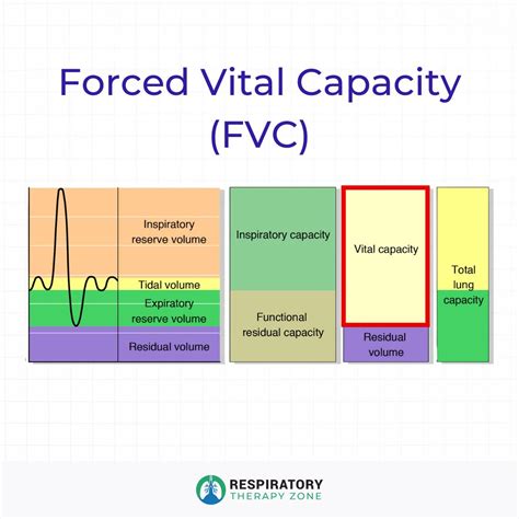 Forced Vital Capacity Fvc Is A Pulmonary Function Measurement That