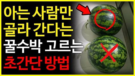 수박 고를 때 이제는 두드릴 필요 없습니다 그냥 이것만 확인 하세요 수박 보관시 섭취시 주의사항수박 잘 고르는 법 Youtube