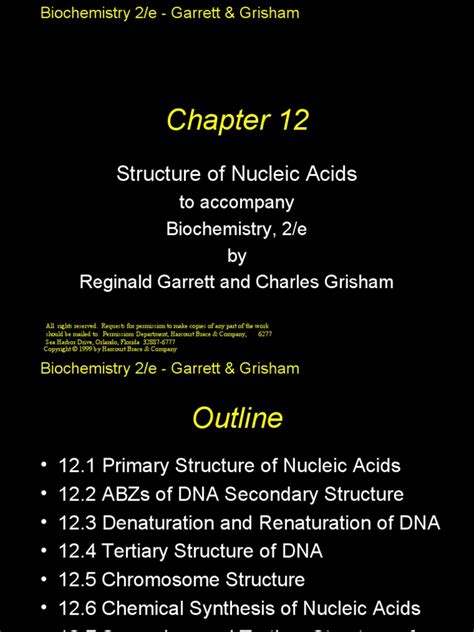 Nucleic Acids Structure Definition Examples Types Nucleic Acids