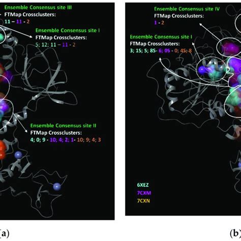 Ensemble Consensus Binding Pockets Predicted By Ftmap For An Aligned
