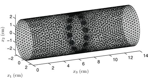 Surface Triangularization Of Mesh M 0 And The Locations Of The Electrodes Download Scientific