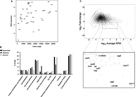 rna seq results a correlation between trna abundance and codon