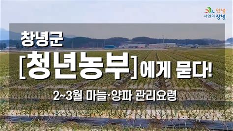 창녕군 청년농부 에게 묻다 2~3월 마늘•양파 관리요령 Youtube