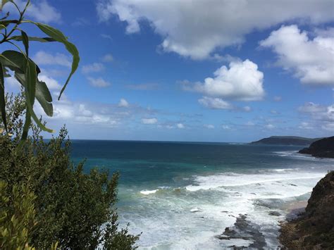 Deep Multi Input Models Transfer Learning For Image And Word Tag Recognition By Yuefeng Zhang