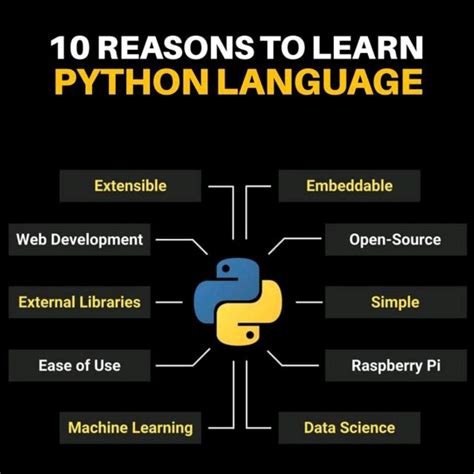 Pythons Versatility Shines Rinku Tripathi