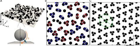 Figure 1 From Hydrodynamic Self Assembly Of Active Colloids Chiral Spinners And Dynamic