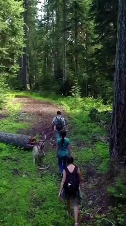 Suresh G On Linkedin We Are Proud To Deliver Firewall Hotspot Vpn And Sdwan All In One…