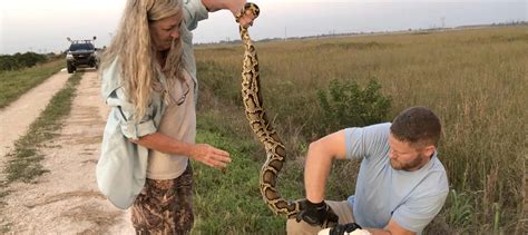 Florida Catches Record Number Of Pythons In The Everglades The Wildlife Society