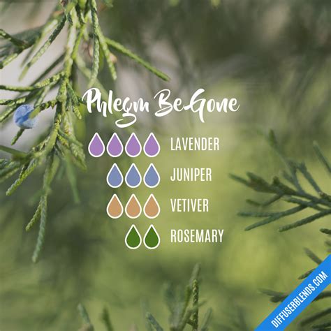 Pin On Diffuser Oil Blends