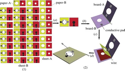Schematic Diagram Showing The Fabrication Process And Assay Procedure