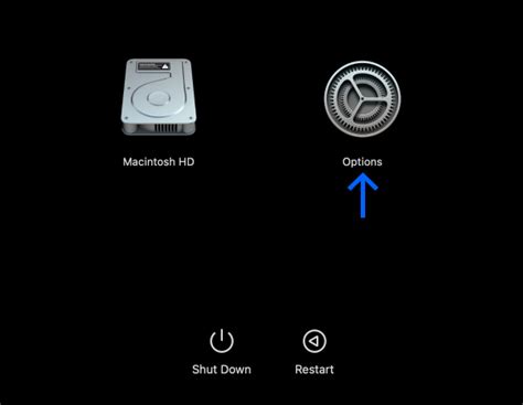 Installing Ace On Macs Running Macos 13 Ventura Rogue Amoeba Support