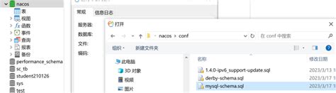 年最新版Nacos安装教程史上最详细保姆级教程 阿里云开发者社区