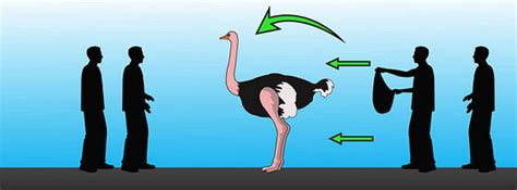 How To Have Sex With An Ostrich The Morally Neutral Spiderman On Tumblr