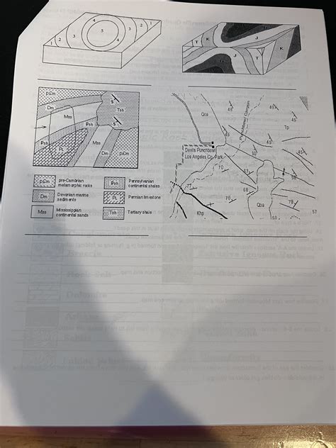 Solved Label Each One With One Of The Following Anticline