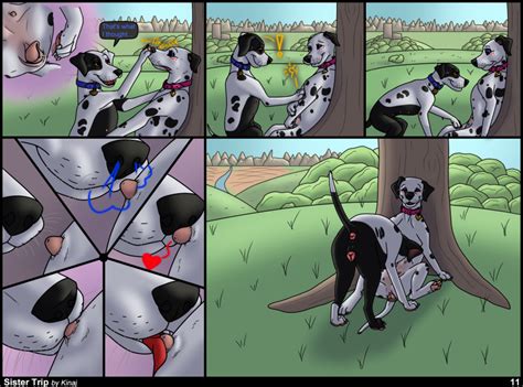 Rule 34 Animal Genitalia Animal Pussy Anus Bird Dog Blush Bodily