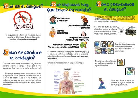 Calaméo Campaña Contra El Dengue