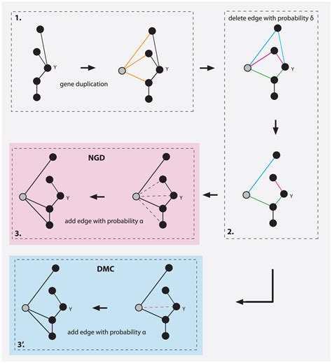 A Schematic Visualization Of The Three Steps Of The Network Gene