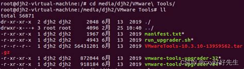 linux 虚拟机和物理机实现文本复制粘贴 cdlinux复制文件到物理机 csdn博客