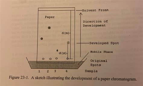 solved paper chromatography prelaboratory assignment name