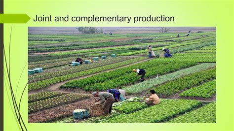 Principle Of Combining Enterprises And Principle Of Comparative Advantage Pptx