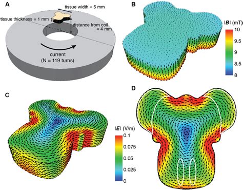 Detailed Finite Element Modeling Of The Magnetic And Electric Fields In Download Scientific