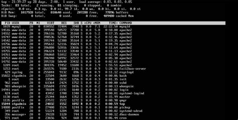 How To Fix Error Establishing Database Connection In WordPress On Shared Hosting VPS Hosting