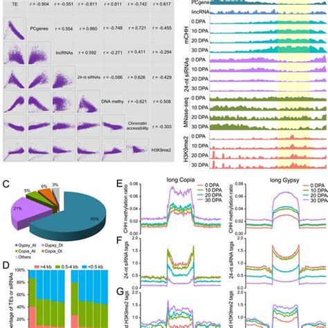 Chromatin Accessibility Revealed By MNase Seq A MNase Digestion Of