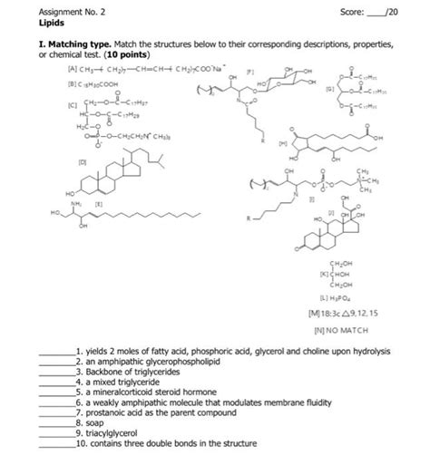 Solved Score Assignment No Lipids I Matching Type Chegg