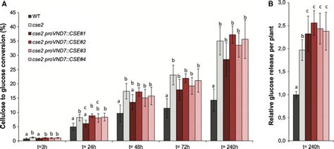 Vessel Specific Expression Of Cse In The Cse 2 Mutant Background