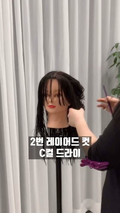 4레벨 커트교육 1회차 과제 7 2번 레이어드 컷 C컬 드라이 Youtube