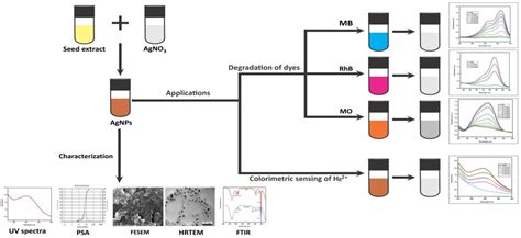 Bio‐fabricated Silver Nanoparticles For Catalytic Degradation Of Toxic Dyes And Colorimetric