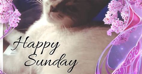 Pretty Mia Album On Imgur