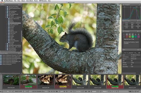 Raw Viewer For Pentax For Mac Os X And Windows Fastrawviewer