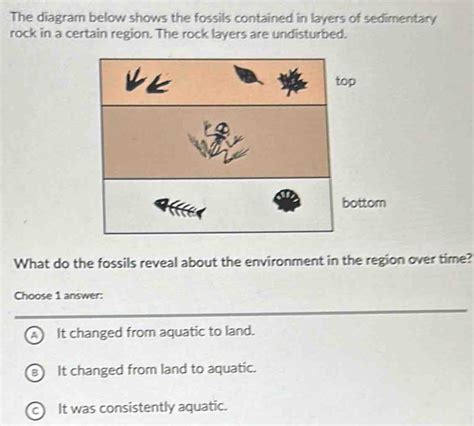solved the diagram below shows the fossils contained in layers of